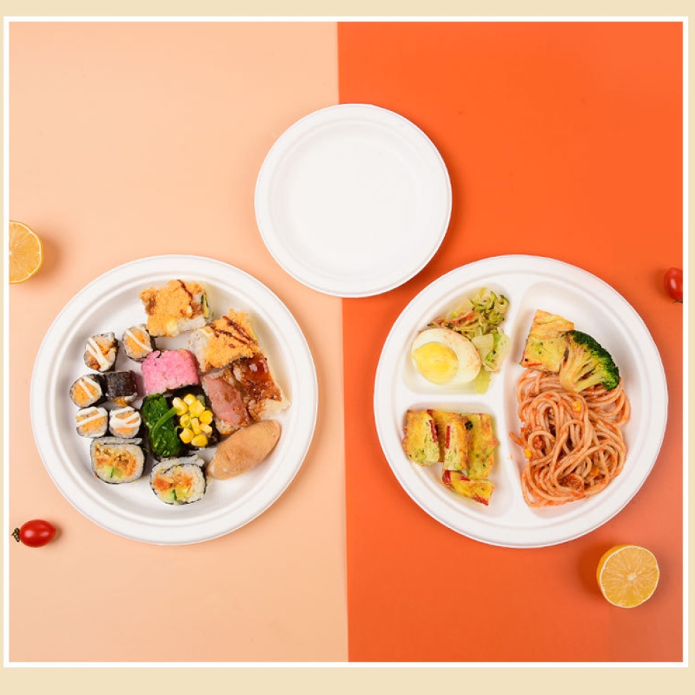 food container Plate